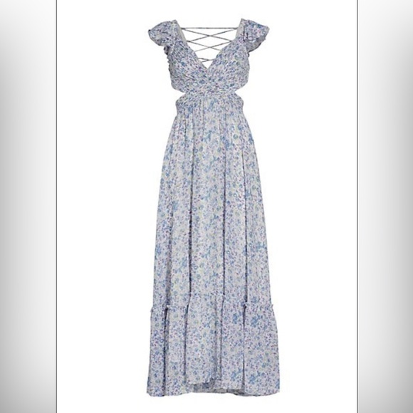 Astr | Dresses | Astr The Label Primrose Floral Maxi Dress | Poshmark